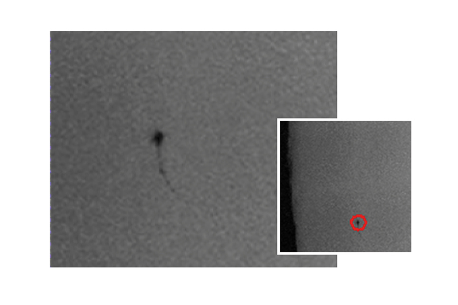 Defect detection on painted car bodies | Micro-Epsilon